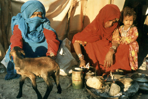 NephiCode: September 2016