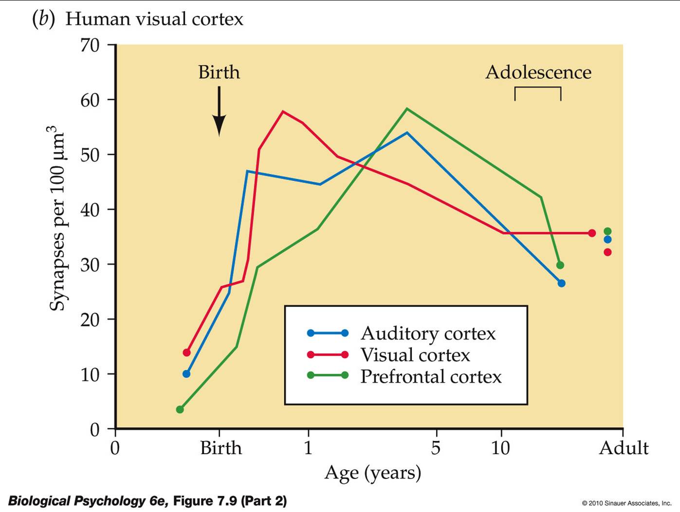 Life After Being A Student - My Mission To Learn: Neurodevelopment ...