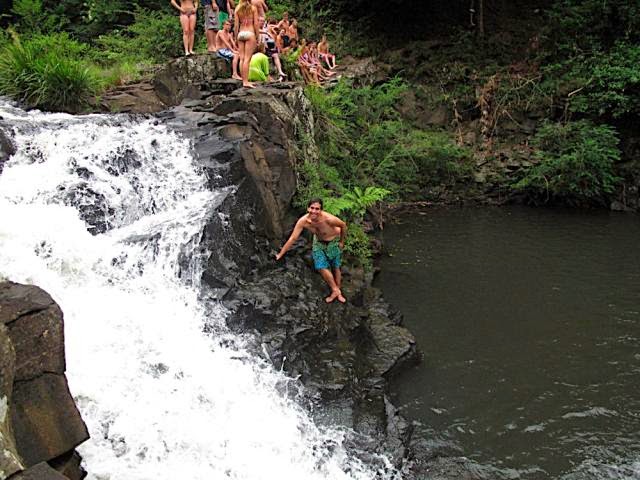 50 Things to do on the Sunshine Coast: Gardener Falls, Maleny