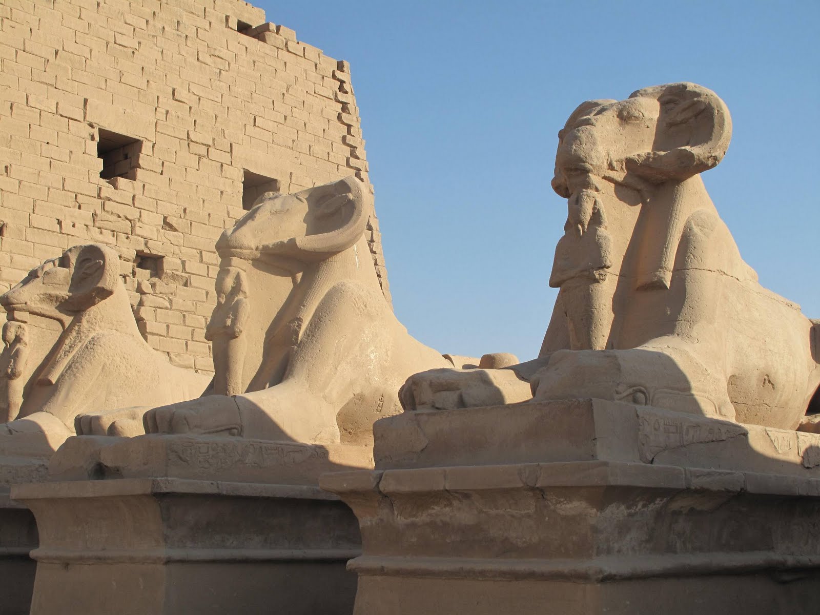 Sailing Catamaran: Luxor; the baseness of Egypt.