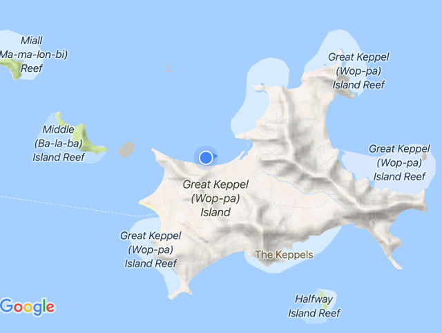 Cat Play: Day 42: Great Keppel Island