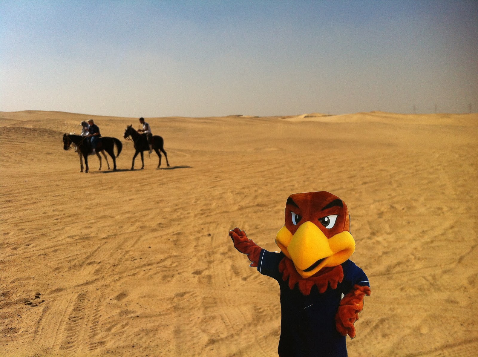 FLAT HAWKSTER'S EURO ADVENTURE