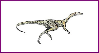 Stenonychosaurus : Dinosaurios del mundo
