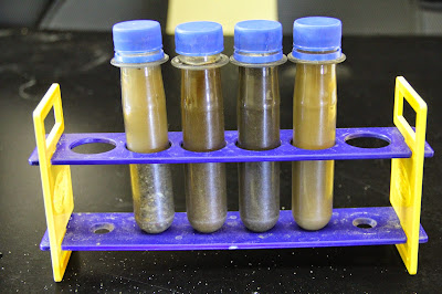 Isabella Conservation District Environmental Education Program: Soil ...