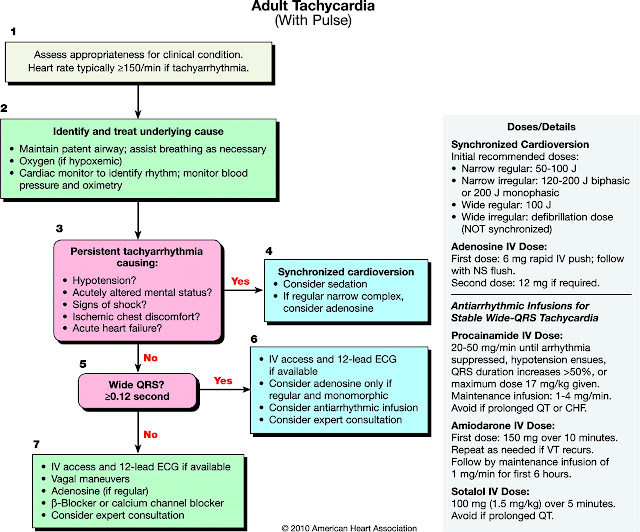 TENTANG JANTUNG: NEW ACLS 2010 AHA GUIDELINES