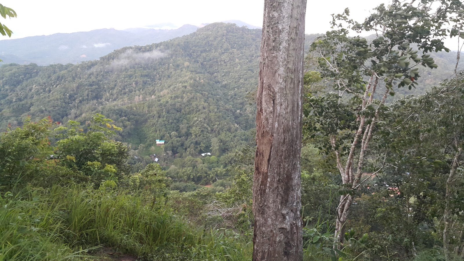 the lilly: Fun Activity in Sabah. Low Cost! ( Bukit Perahu, Tamparuli)