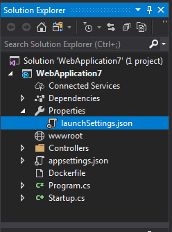 How to Set Default path for the Asp.Net Core Web Api