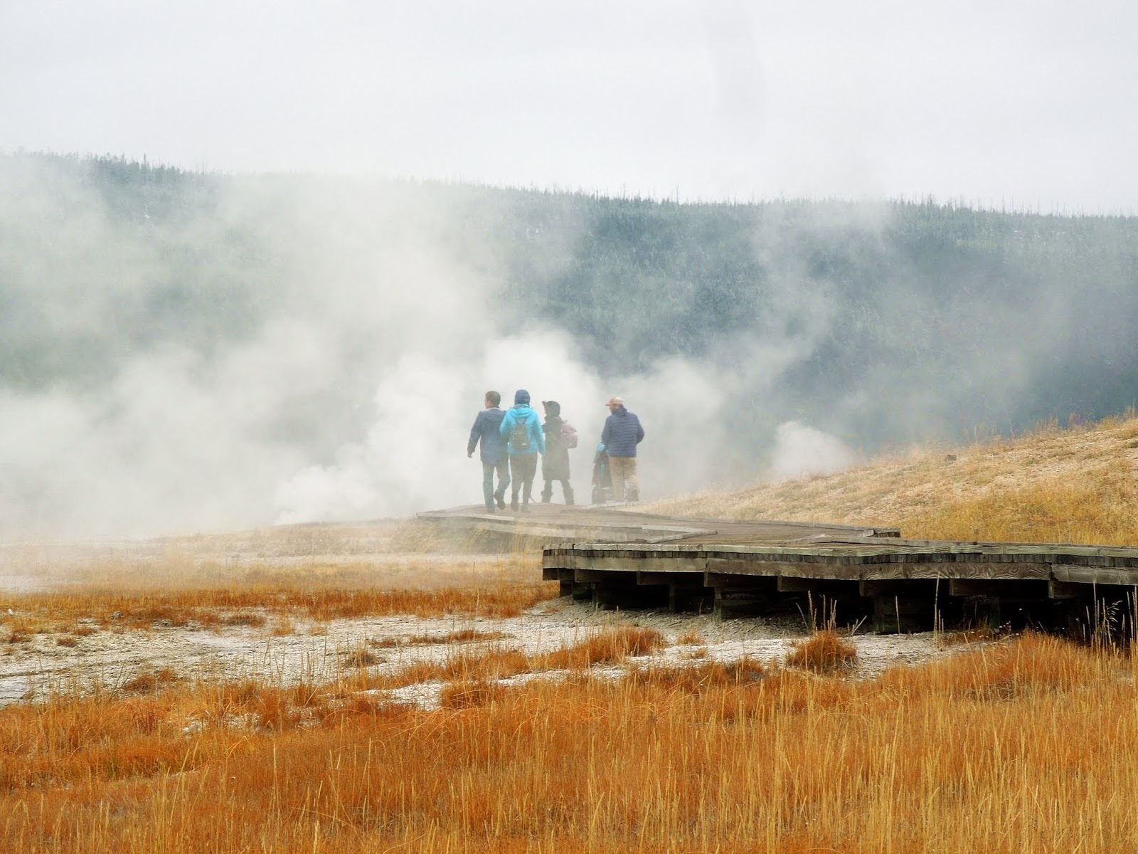 Focusing On Travel : Yellowstone: A Geyser Gazers Guide to the Upper ...