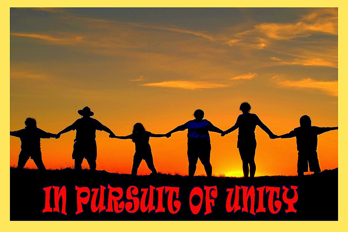 LIC PENSIONERS CHRONICLE: IN PURSUIT OF UNITY (3)