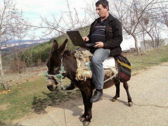 Calul si magarul - Lumea de azi