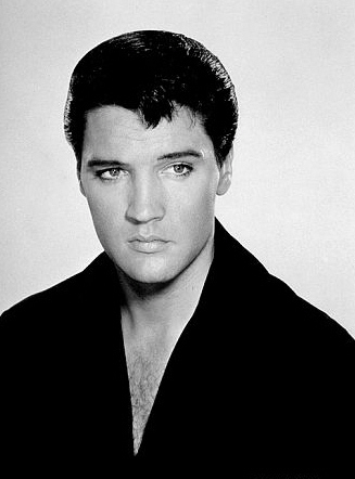 FAMOUS PEOPLE: elvis presley