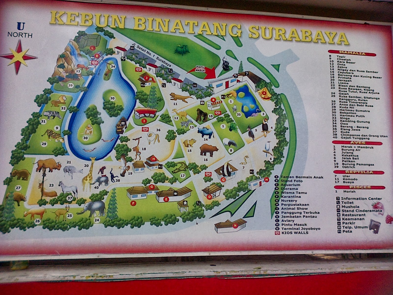 Best Travel Destinations: Surabaya Zoo: The Most Popular Zoo in Indonesia