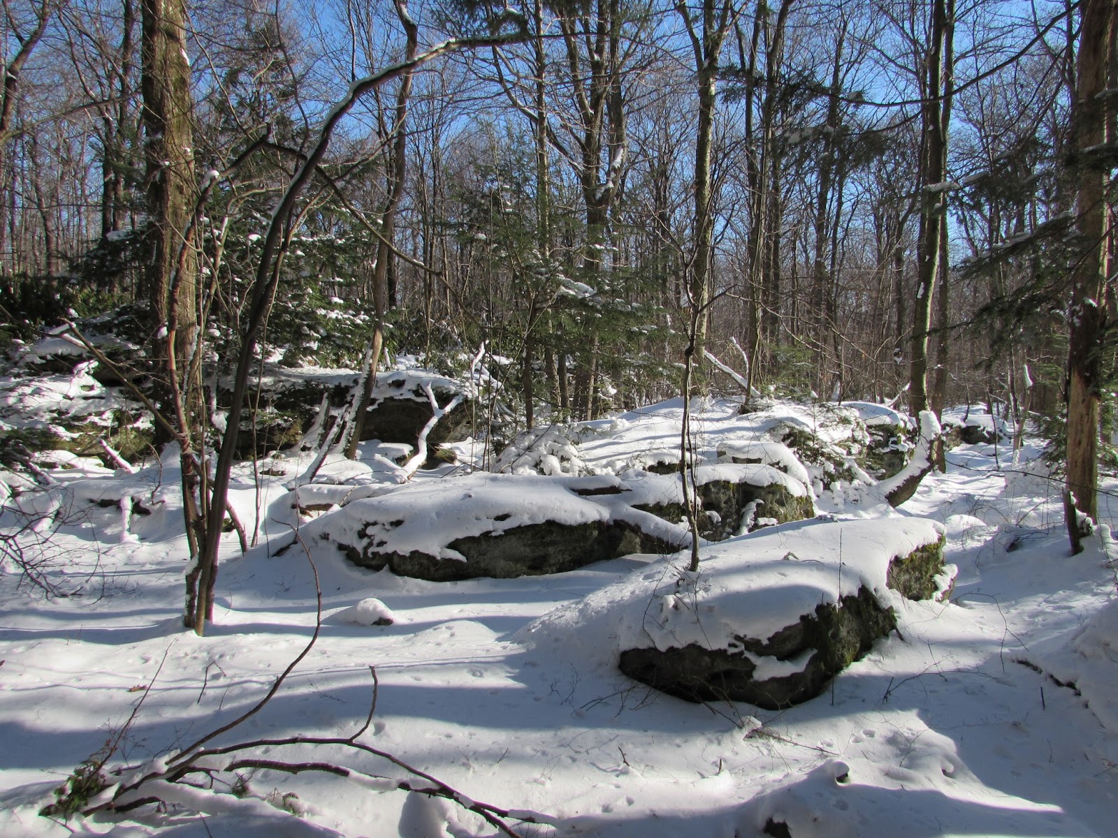 Wolf Rocks and Beam Rocks Overlook Hikes, Forbes State Forest, Somerset ...