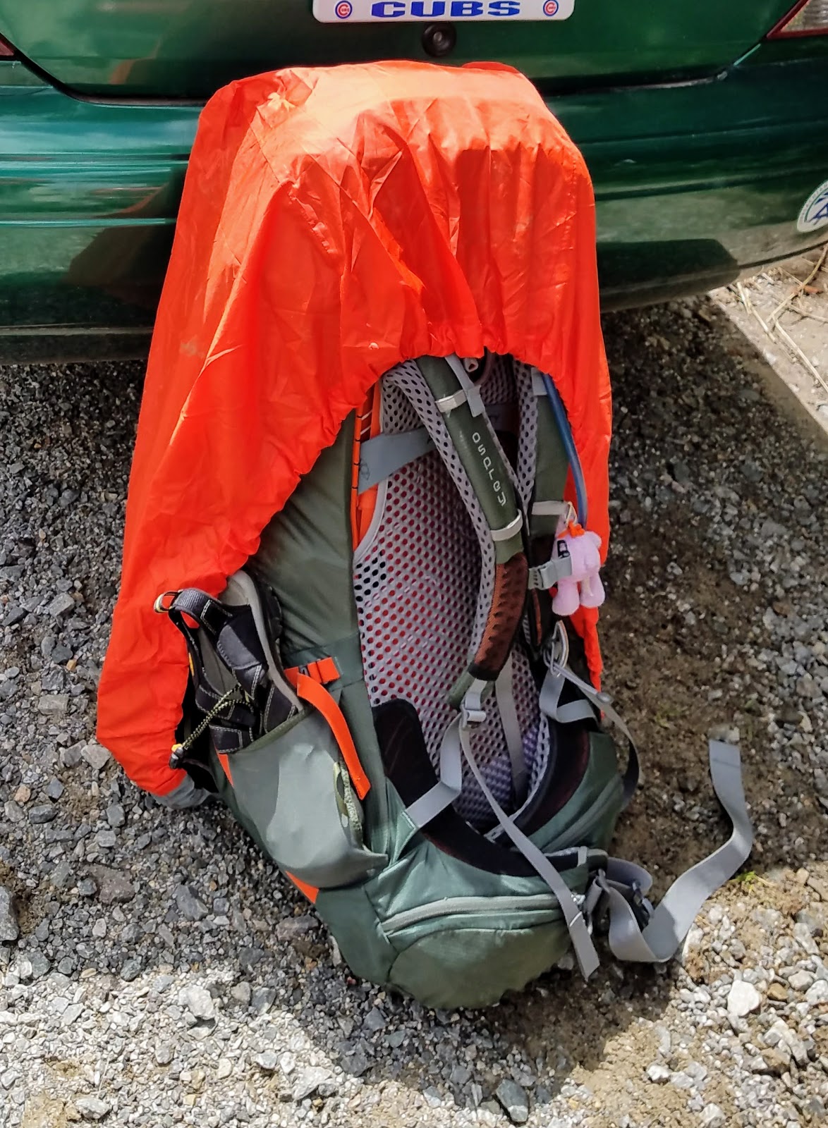 Tales From The Wood Booger: Carrying The Big Lummox Out Of The Rabbit ...