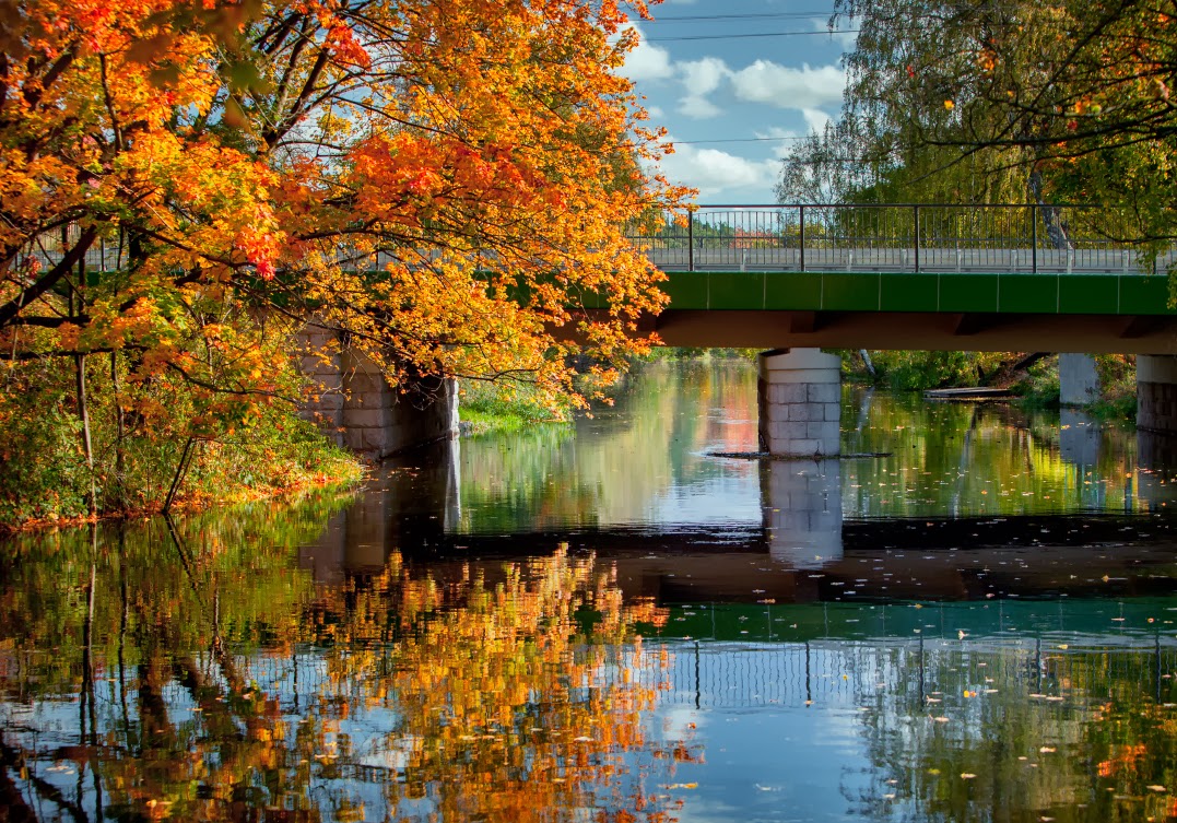 mojebory: Autumn in Rytel | Jesień w Rytlu