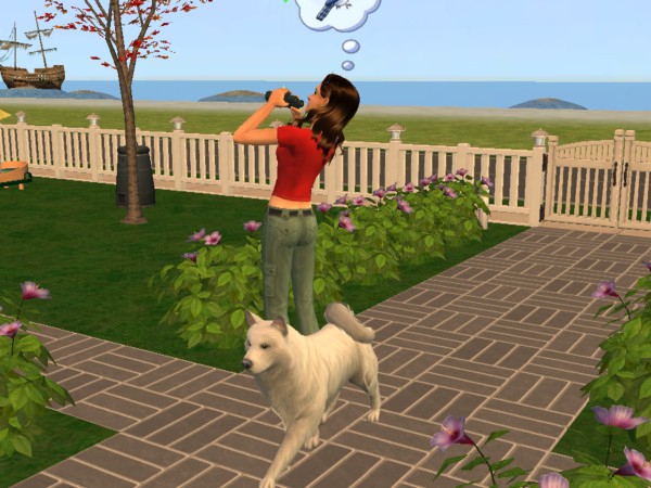 Shaye's Sims 2: Walk, Don't Run