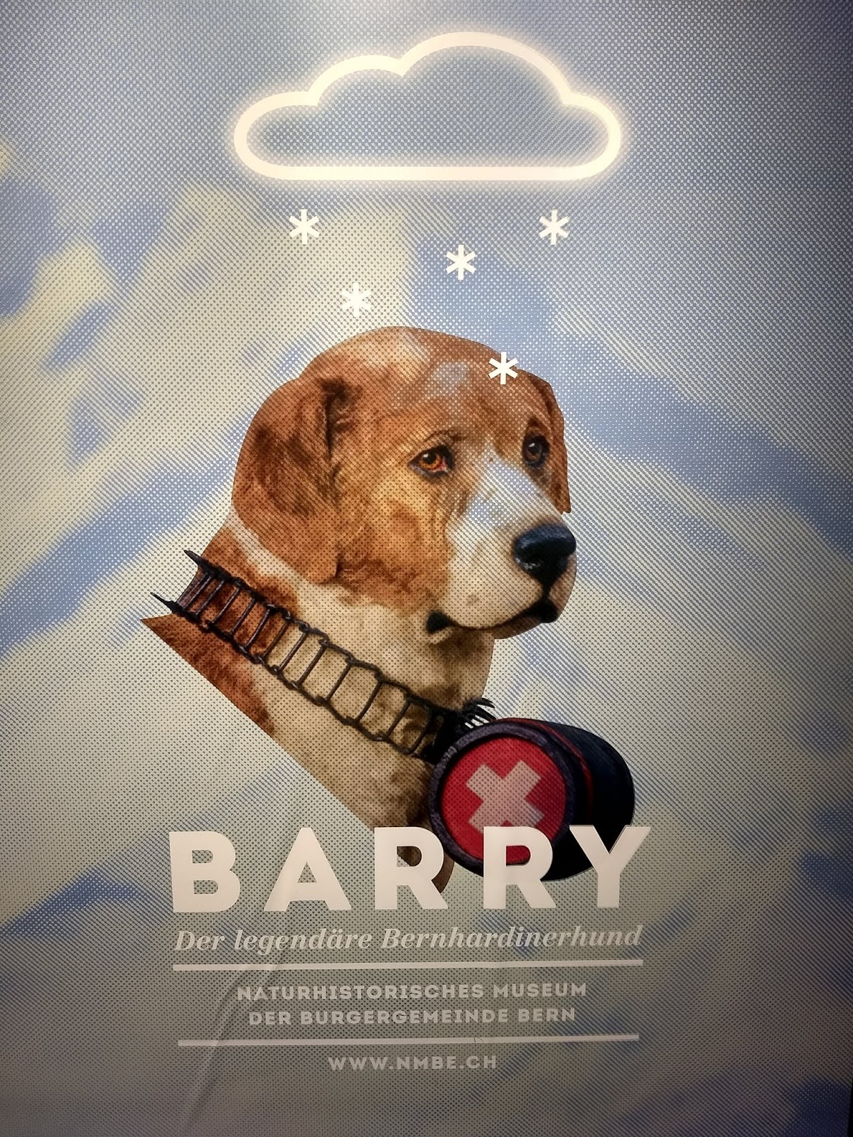 Skiing the Planet: Barry, the dog