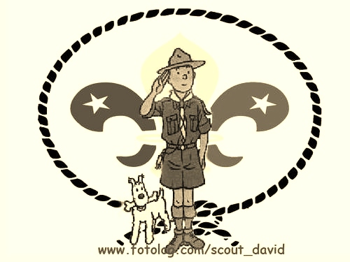 Argot Scout: TINTIN Scout