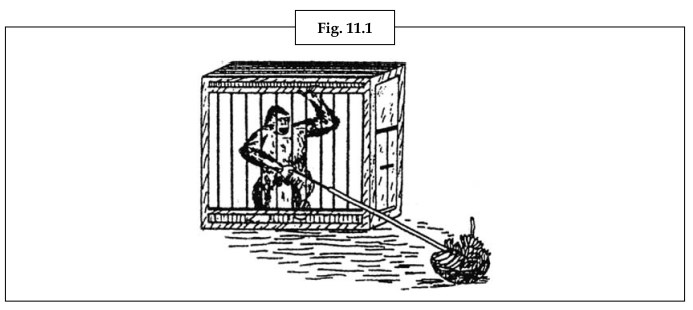 Wolfgang Kohler Insight Theory ~ Educational Theory