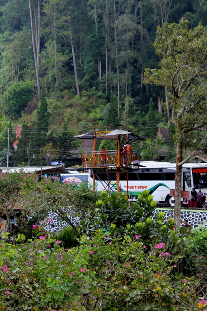 catatan perjalanan: outside Telaga Putri (Telogo Putri)