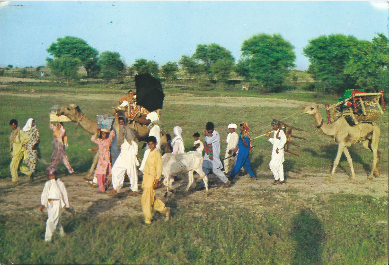 A Journey of Postcards: Gypsies from Pakistan