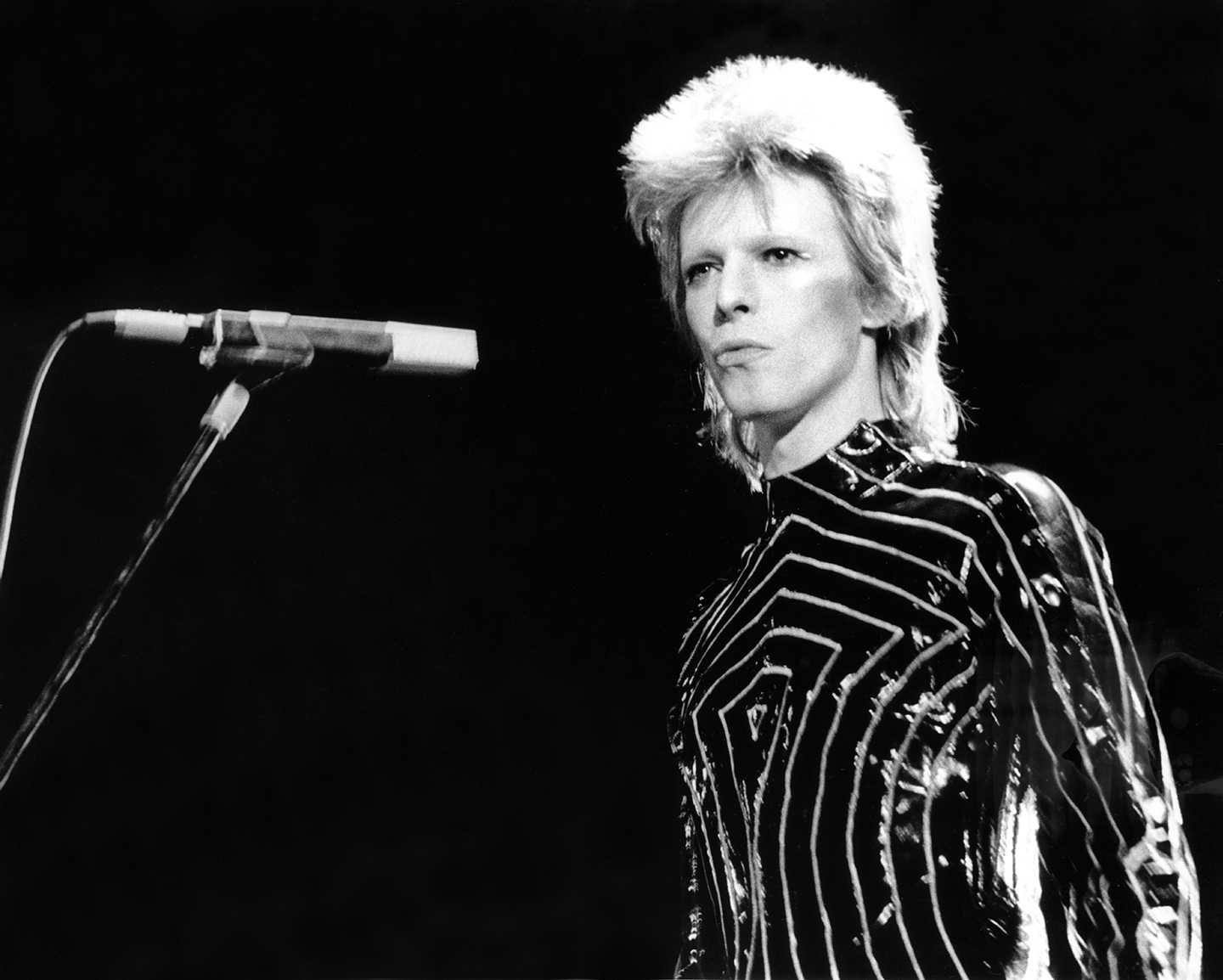 MAGIC AND LOSS: RIP DAVID BOWIE | Fitzroy Boutique