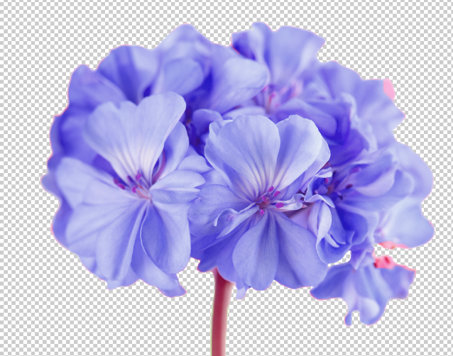 Easy Ways For Background Remove Form Image Remove Image Background Service Easy Ways For Background Remove Form Image Remove Image Background Service