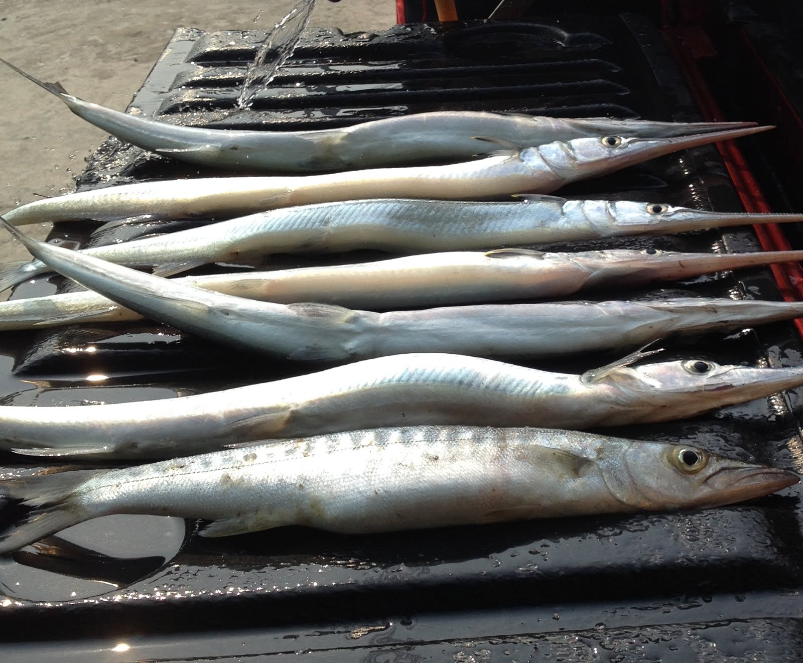 My Journey in Life: Memukat di pantai Putatan