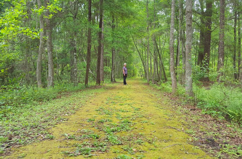 Wandering His Wonders: Ocean Pond and Lake City--a Collection of water ...
