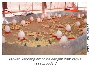 Tips penggunaan pemanas gas supaya lebih efisien | Tips cara memelihara ...