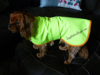 Soggibottom: Free dog coat pattern from Soggibottom. Fit for a Cavalier.