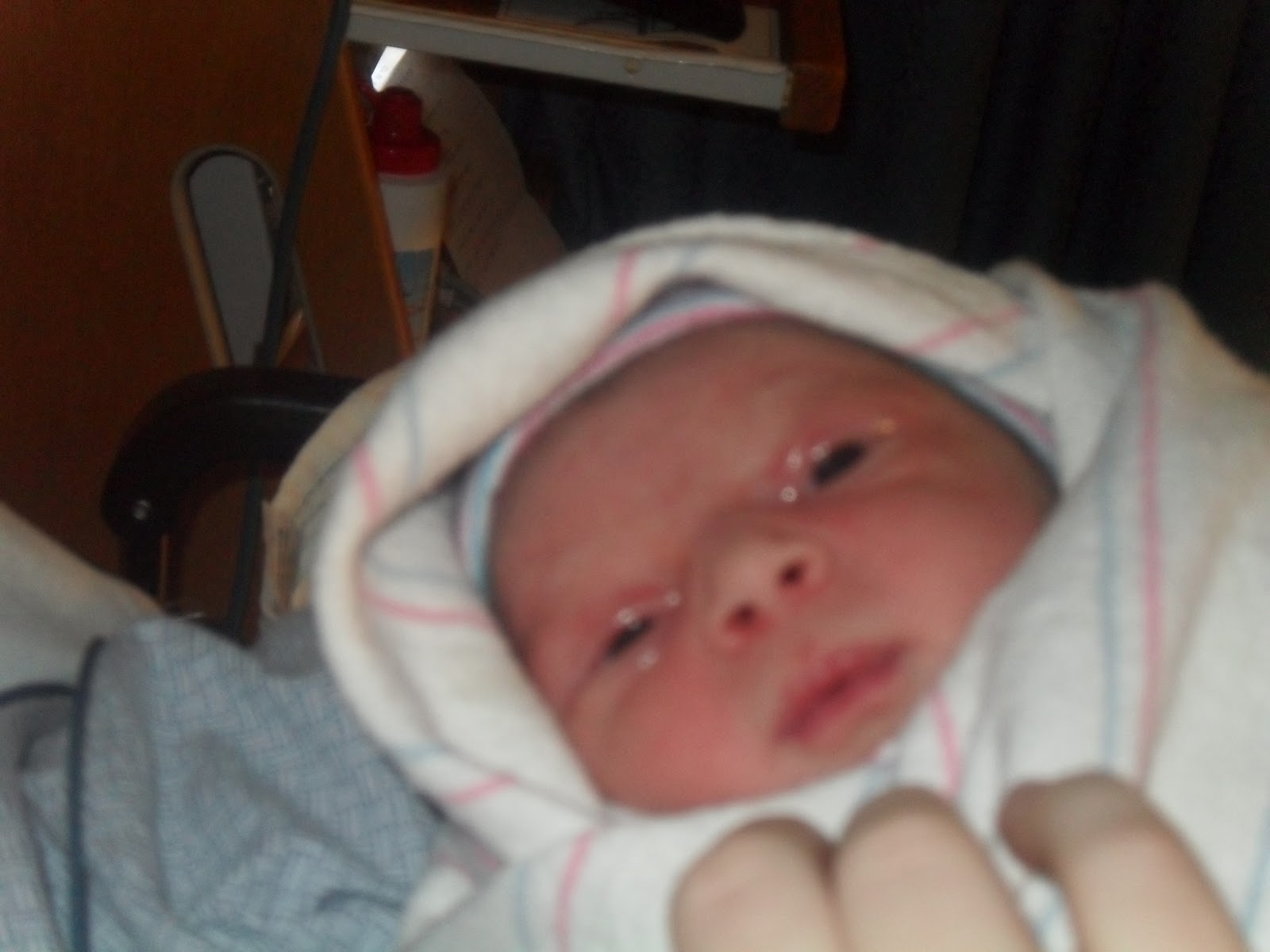 Wicked Awesome Adventures of a Family called Sloan