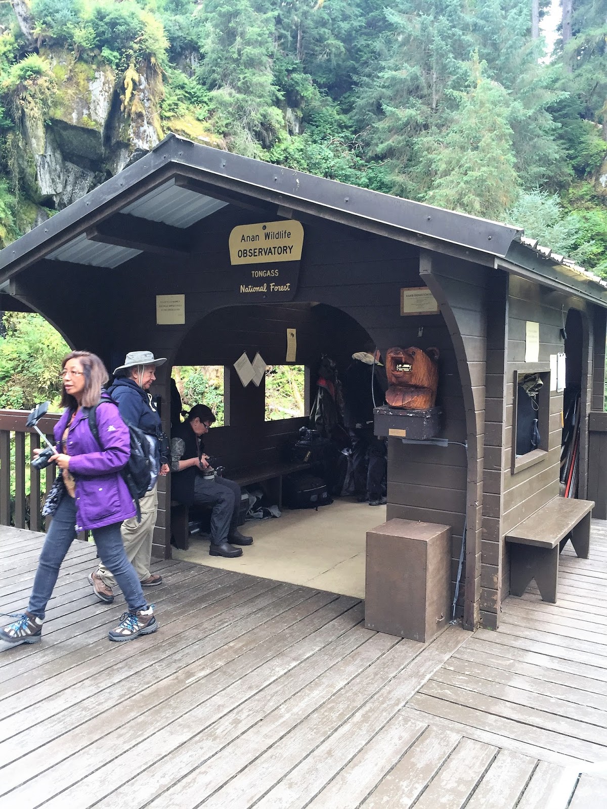 Souvenir Chronicles: ALASKA! BEAR WATCHING AT THE ANAN WILDLIFE OBSERVATORY