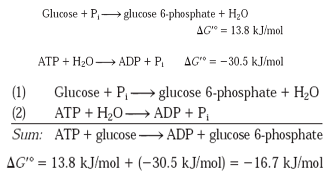 World of Biochemistry (blog about biochemistry): Glycolysis (reactions ...