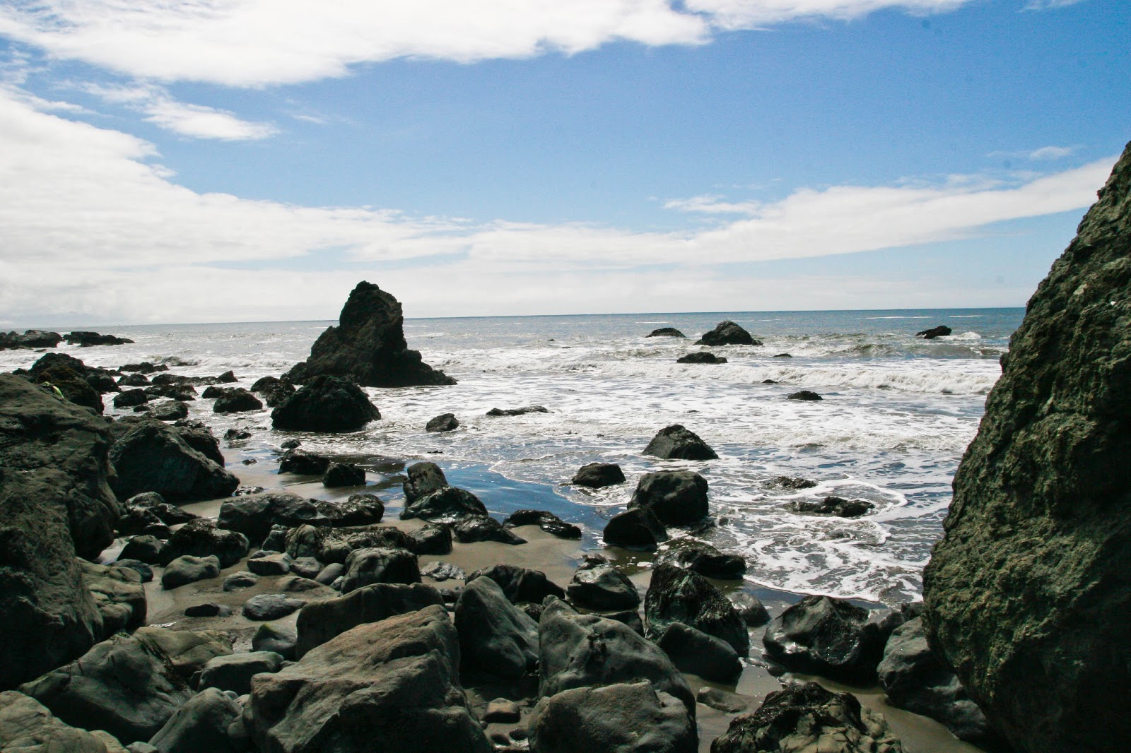 Ellies Wonder: Muir Beach...not woods