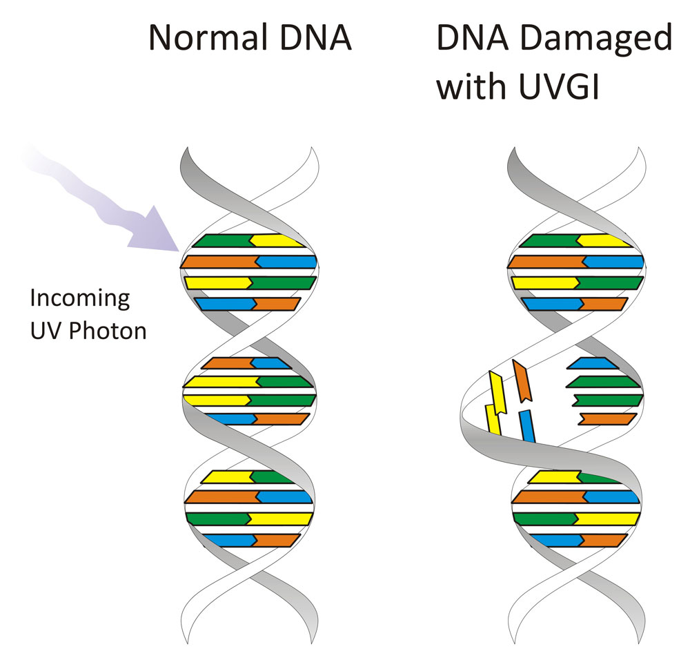 InviroTech Systems: InviroShield UVGI Systems for Healthy & Safe Indoor Air