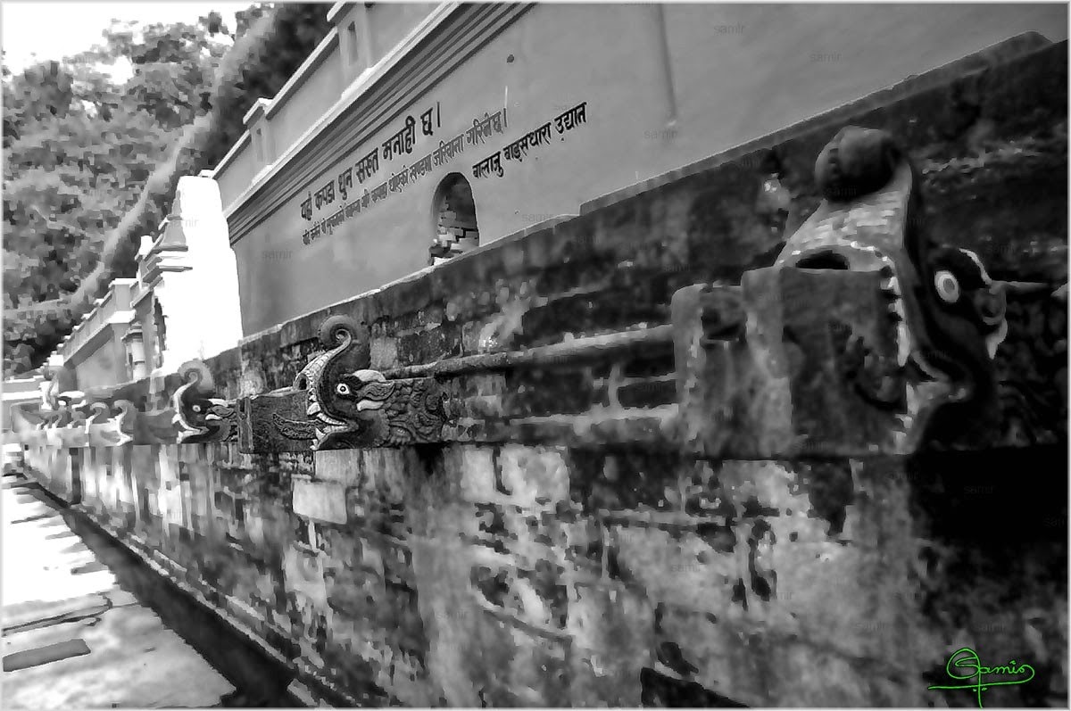 Samir Pradhananga Photography: Balaju 22 Dhara Park Photo Walk & Monkey ...