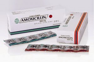 Info Obat : Amoxicillin