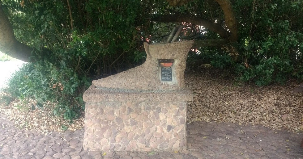 Lisa's World: The Post Office Tree