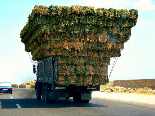 Top 10 Overloaded Trucks | Let the World Know