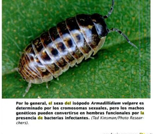 UN CAMINO HACIA LA HERENCIA