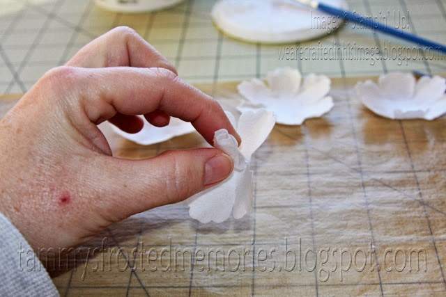 Tammy's Frosted Memories: Wafer Paper Flower Tutorial