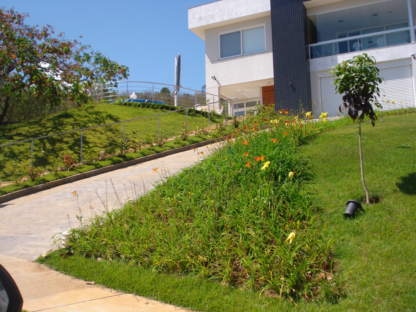 Blog da jardinagem: Jardins em taludes