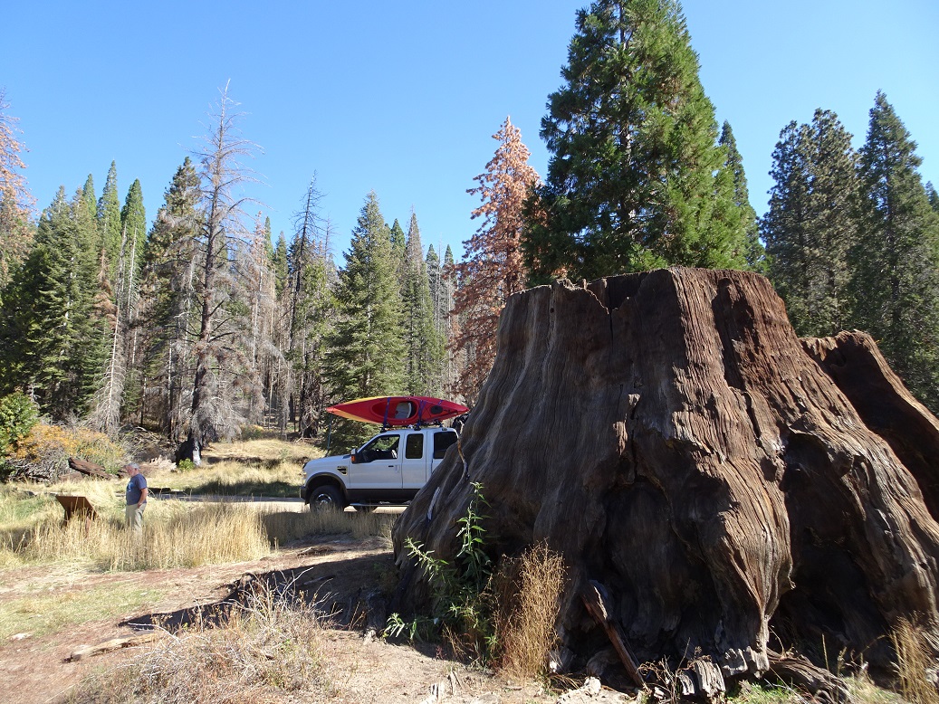 Traveling with Tucson : Kings Canyon - The Boole Tree and Chicago Stump