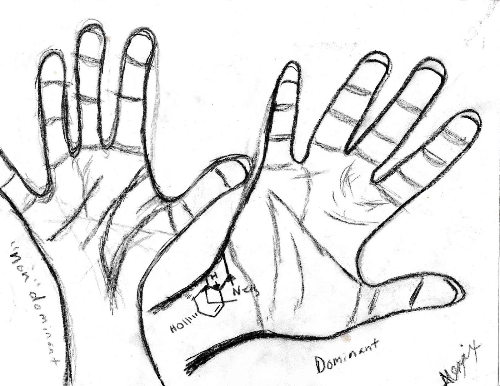 Project 4 Drawing Of Hands And Reflection project-4-drawing-of-hands-and-reflection