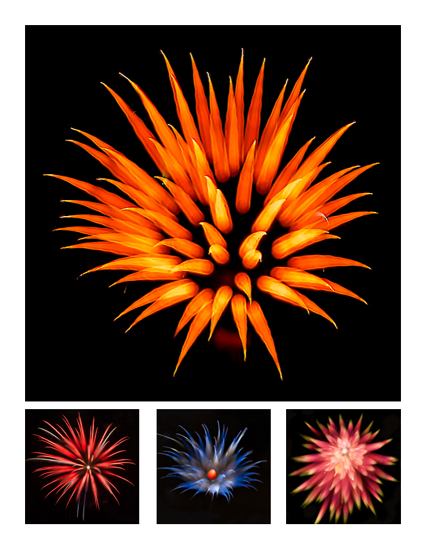 Suzanne Mathia Photography: AMAZING FIREWORKS IMAGES - TUTORIAL