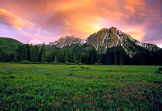 Picture Gallery: Free Photos - Free Images - Royalty Free Photos - Free ...