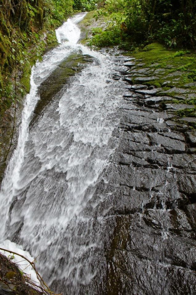 PIRAMIDE PERDIDA EN LA AMAZONIA DEL ECUADOR 2014 - Posible hogar del ...