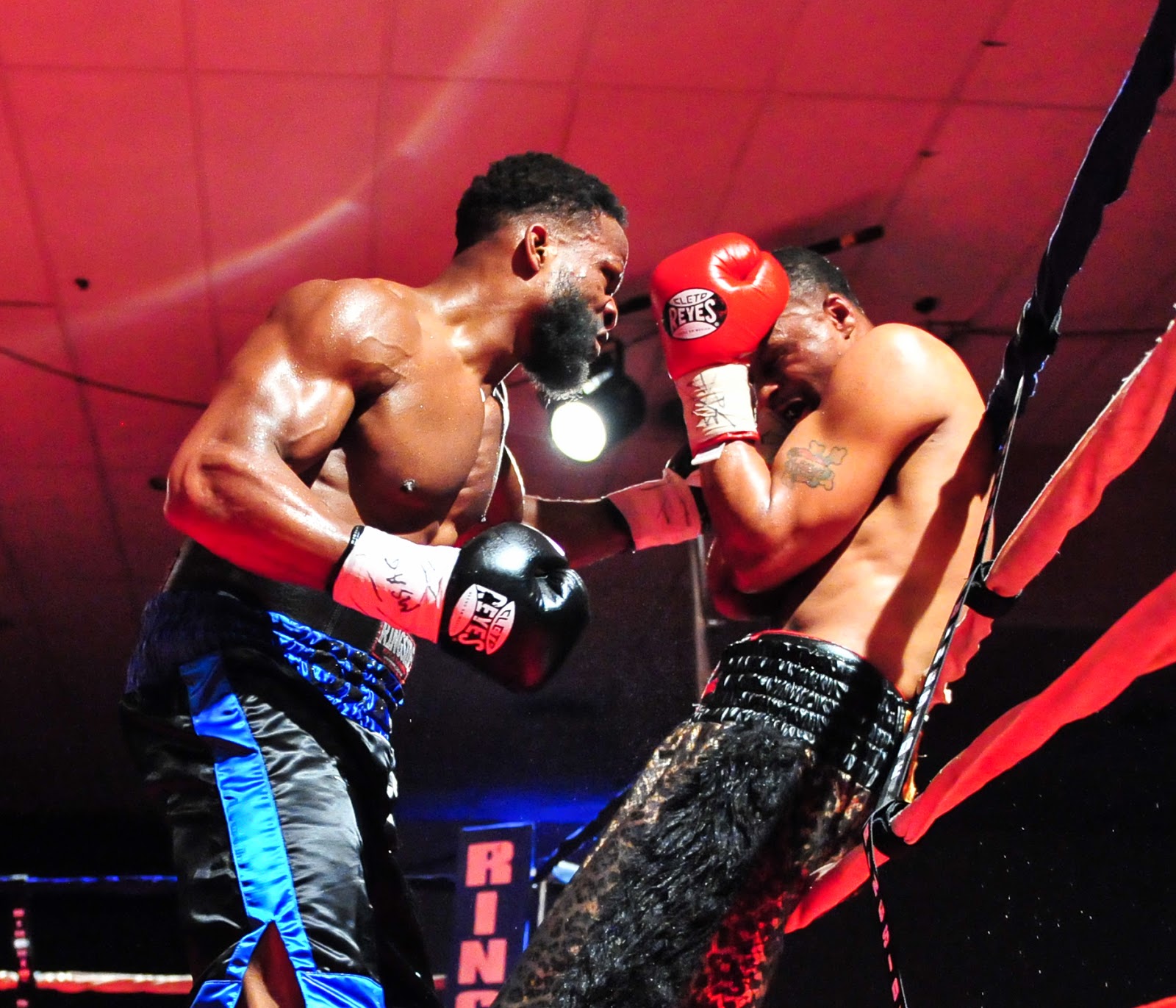 Boxing Along The Beltway: May 2016