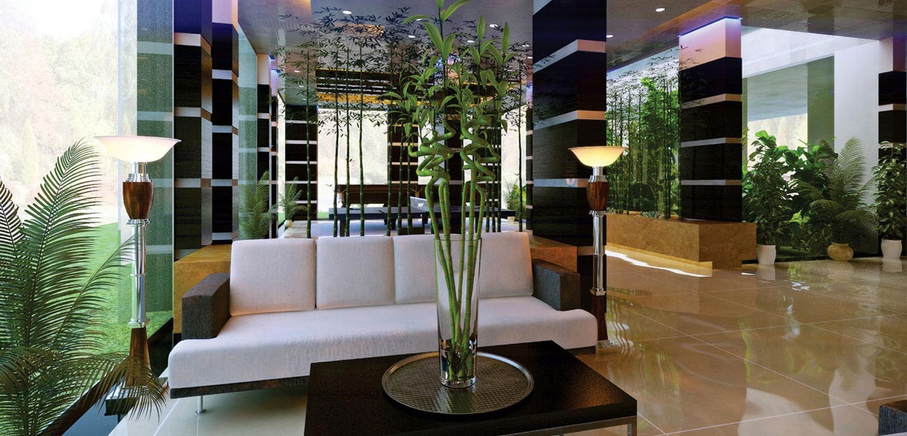 Renaissance Holdings Developers: Development of Town Working As Medium ...